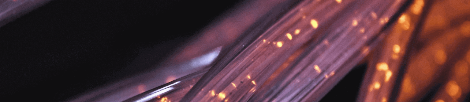 Explosion-proof Cable Glands - CN CABLE