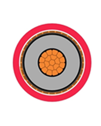 MV N2XSY Cable - CN CABLE